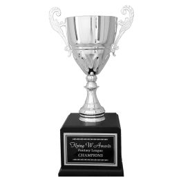 Silver Metal Cup 16 Year Trophy